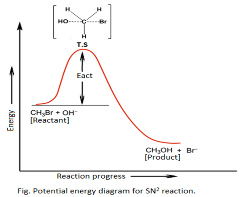 One Reaction, Two Pathways: Understanding SN1 And SN2 Kinetics And ...